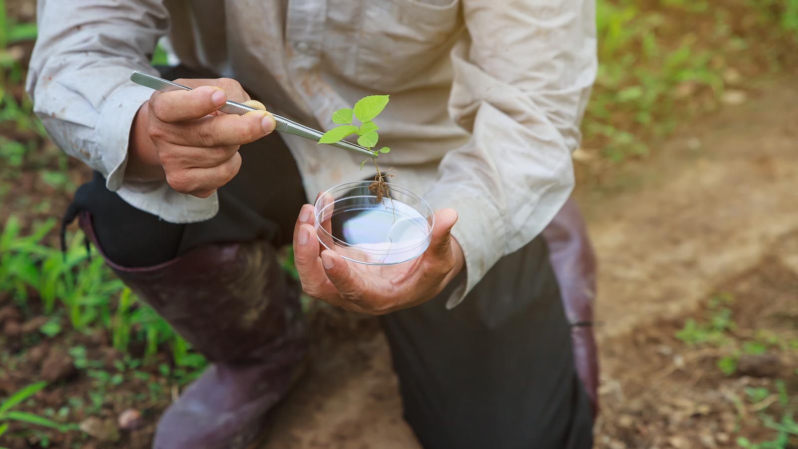 Agricultural Sciences | Grayson College